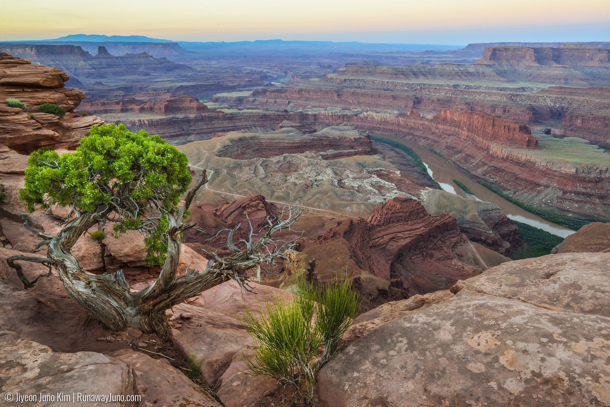 Runaway Photo: Dead Horse Point State Park, Utah