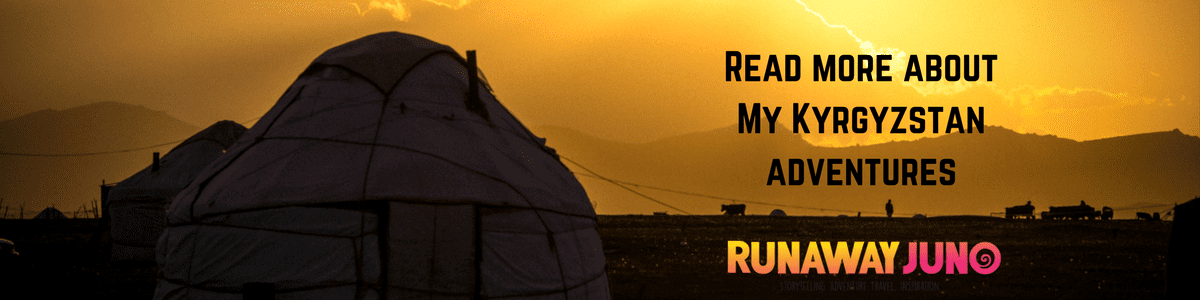 The Kumis Magic: the Power of Fermented Mare's Milk